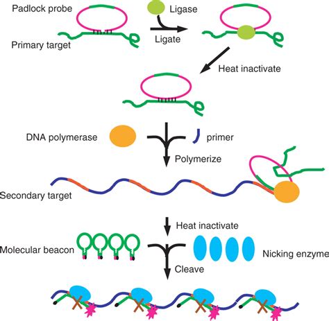 Working Principle Of Extended Nesa Basic Nesa Is Integrated With Download Scientific Diagram