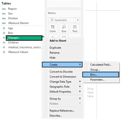 Tableau Bins Examples Uses How To Create Step By Step