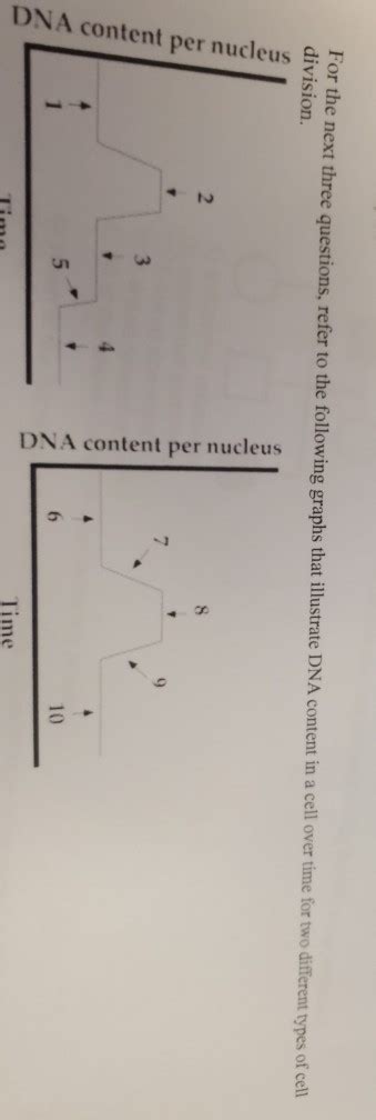 Solved Dna Content Per Nucleus Dna Content Per Nucleus For