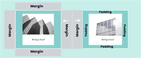 Padding là gì Margin là gì Phân biệt padding và margin