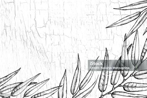 잔디 잎 크로 셰 뜨개질 금이 배경에 잔가지 스크래치와 브러시 스트로크가있는 질감에 식물이있는 핸드메이드 일러스트레이션 템플릿 배경 결혼식 배너의 디자인 가뭄에 대한 스톡