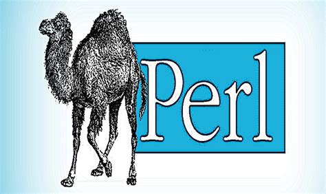 Apa Itu Perl Bacalah