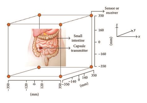 Video Capsule Endoscope Vce Localization Scenario Download Scientific Diagram