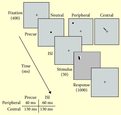 1 Sequence Of Events In A Trial Observers Perform A Two Alternative Download Scientific