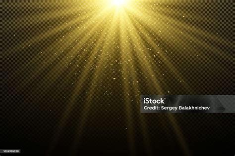 어두운 투명 한 바탕에 황금 빛 효과입니다 Bokeh 번쩍 골든 마법 광선입니다 밝은 폭발 햇빛입니다 크리스마스 빛입니다 벡터 일러스트입니다 Eps 10 검은색에 대한 스톡