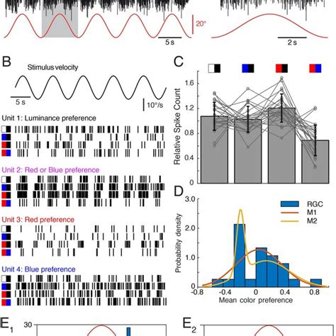 Retinal Ganglion Cell Spike Discharge During Visual Image Motion