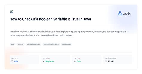 How To Check If A Boolean Variable Is True In Java Labex