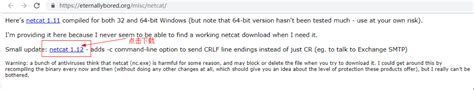 install and use netcat on windows 10 programmer sought