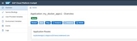 Deploy Application Using Docker Container On Sap C Sap Community