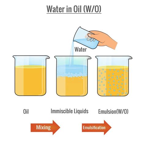 Emulsion Of Water In Oil Vector Illustration 21669369 Vector Art At