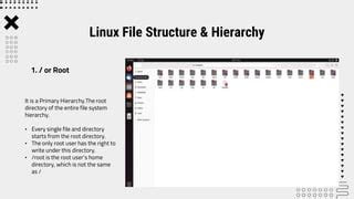Lab Linux File Structure And Hierarchy Pptx Operating Systems Computer Software And