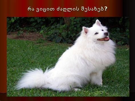 Shinauri Da Gareuli Cxovelebi