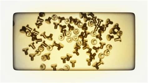 Industrial Rivets Aluminium Solid Rivets Manufacturer From Rajkot