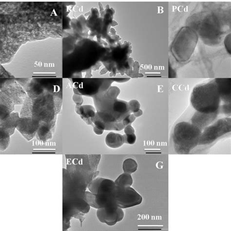 Pdf Green Synthesis Of Cadmium Oxide Nanoparticles With Various Plant Extracts And Their Use