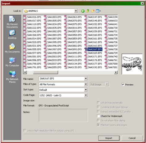 Can We View The Preview Of EPS File CorelDRAW X CorelDRAW Graphics Suite X CorelDRAW