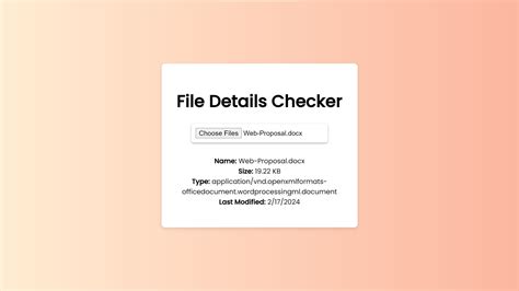 File Details Checker Using Html Css And Javascript With Source Code