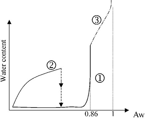 General Shape Of Adsorption Isotherms Of 1 Crystalline Sucrose 2 Download Scientific