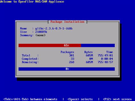 Text Based Installation Openfiler