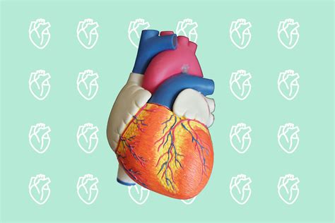 Practice Osce Station Lung Cancer — Osce Sense