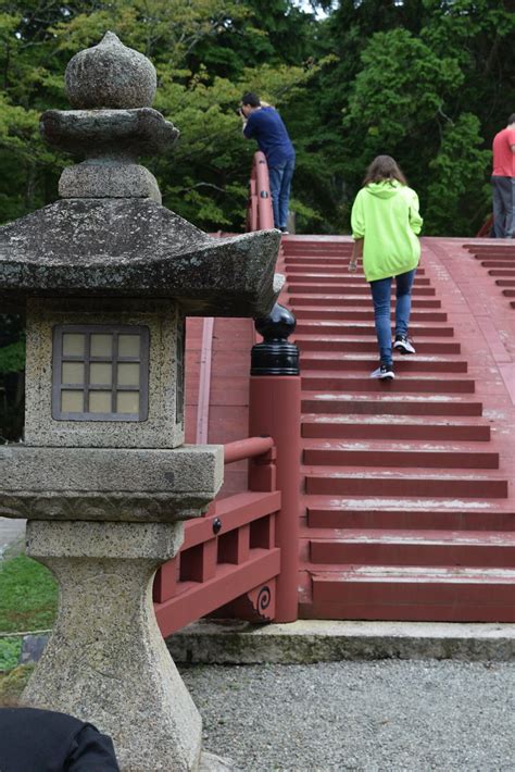 Dsc Karina Lin Flickr