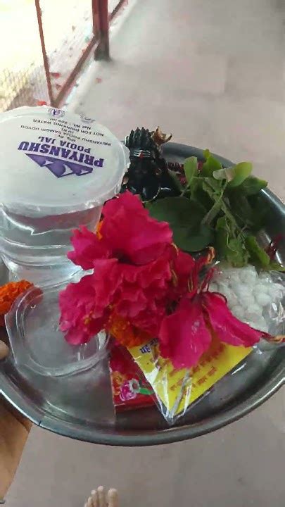 Nilkanth Mhadev 🙏 Rishikesh Yt Shorts Youtube