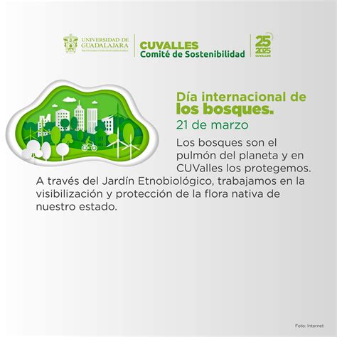 Centro Los Bosques Son El Hogar De Miles De Especies Y La Base De
