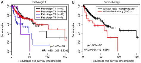 KM Curves A The KM Curve Revealing The Correlation Between Download Scientific Diagram