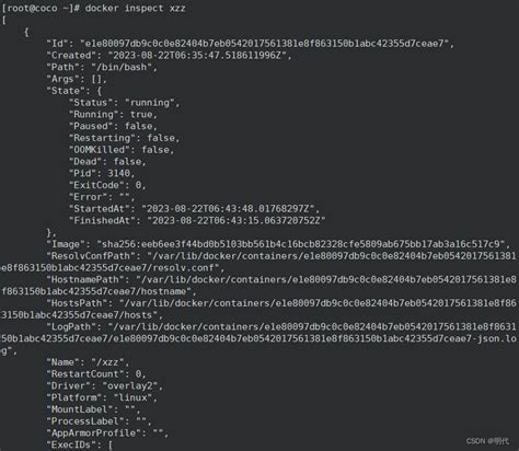 docker关于下载，镜像配置，容器启动，停止，查看等基础操作 docker下载镜像 csdn博客