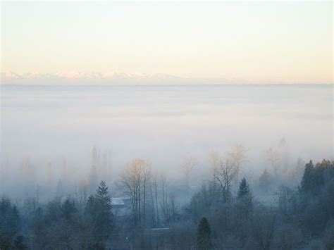 What S The Difference Between Fog And Clouds Fog Covers A Rural Area
