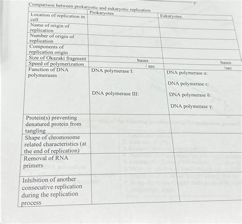 Solved Comparison Between Prokaryotic And Eukaryotic Chegg