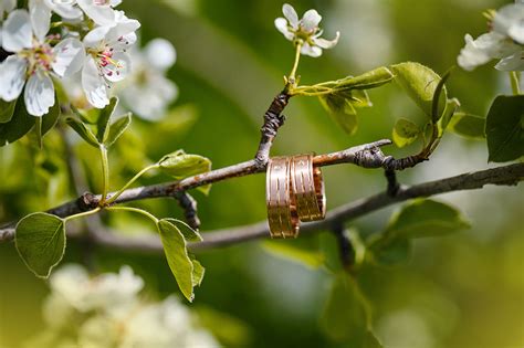 Simple Wedding Script With Tree Planting Unity Ceremony Amm Ceremony