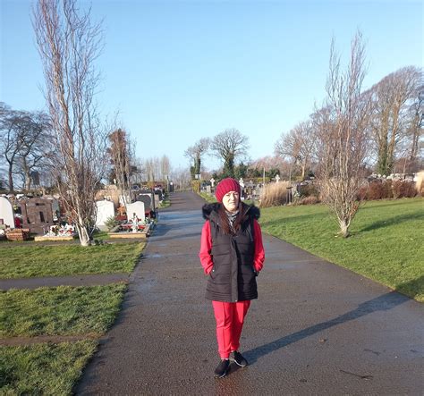 Sf Cllr Calls For Public Toilets To Be Installed At Mulhuddart Cemetery