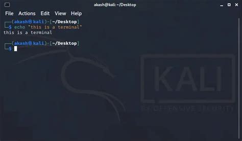 kali linux terminal tutorial de kali linux