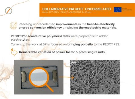Europeanproject Conductingpolymers Materials Research Specific Polymers