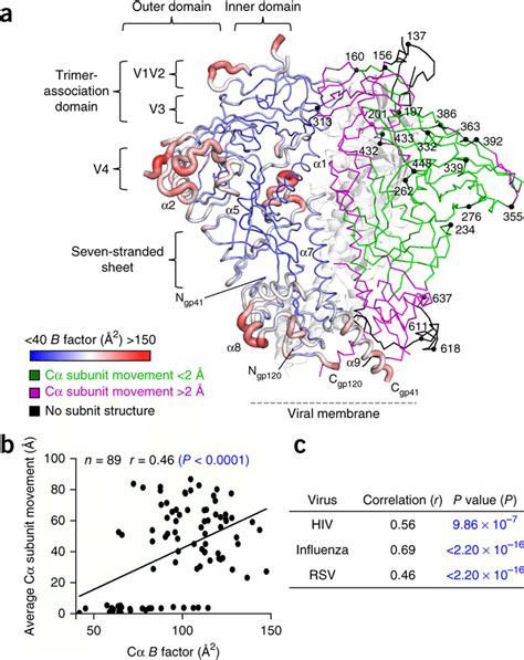 Crystal Structure Of Ligand Free Hiv 1env Trimer And Conformational