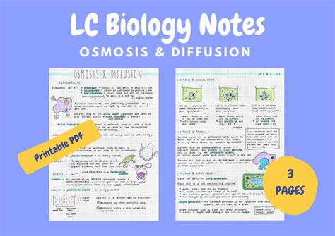 Osmosis Diffusion Notes Leaving Cert Biology Etsy