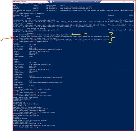 Unable To Navigate Into Inside Container On Eflow Machine · Issue 251 · Azureiotedge Eflow