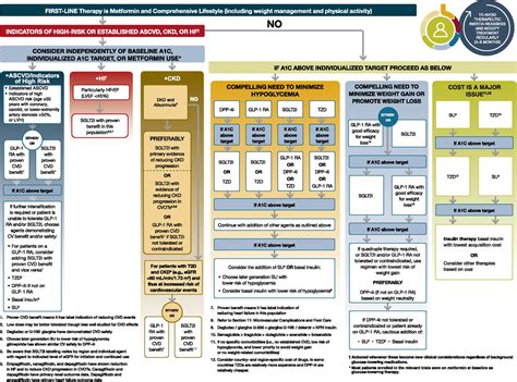 Diabetes Mellitus Treatment Guidelines