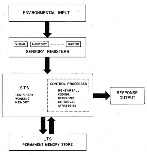 The Atkinsons And Shiffrins Model Of Memories Download Scientific