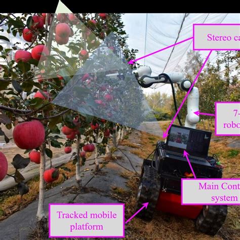Multi Vision Based Harvesting Robot Download Scientific Diagram