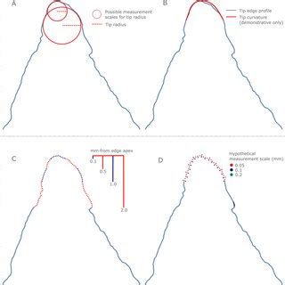 R² values from all linear regression analyses between tip curvature Download Scientific Diagram