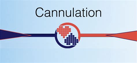 Basics — Learnecmo Basics — Learnecmo