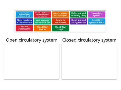 Open Vs Closed Circulatory System Categorize