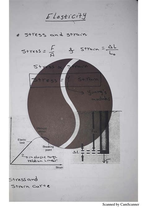 SOLUTION Physics Notes And Exercises Elasticity Studypool