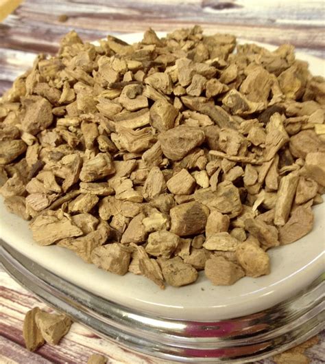 Red Root Ceanothus Americanus Glenbrook Farms Herbs And Such