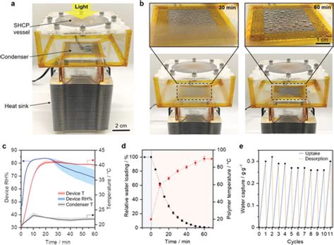 A Robust And Low‐cost Sulfonated Hypercrosslinked Polymer For