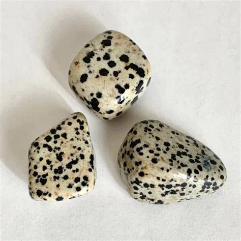 Dalmatian Jasper Uncovering Its Meaning Uses And Benefits