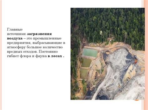 Экологические проблемы леса презентация онлайн