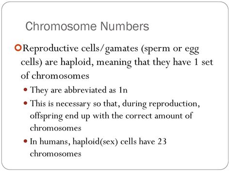 Chapter 10 Cell Growth And Division Ppt Download