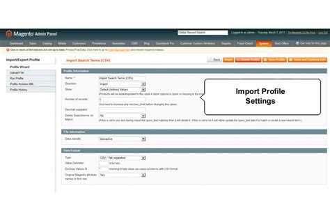 import export search terms magento extension